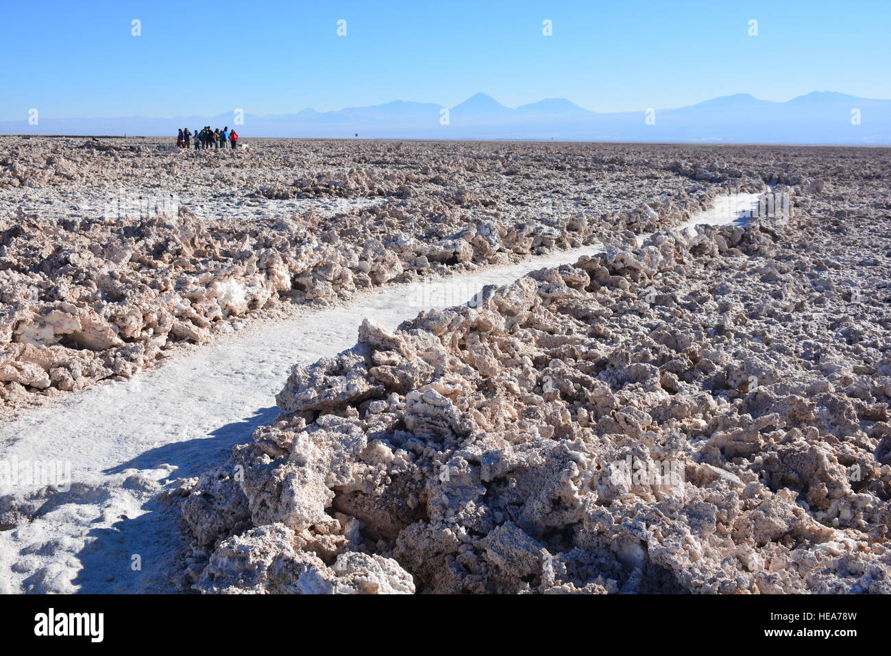 Salt flats lake in Atacama desert Chile Stock Photo - Alamy