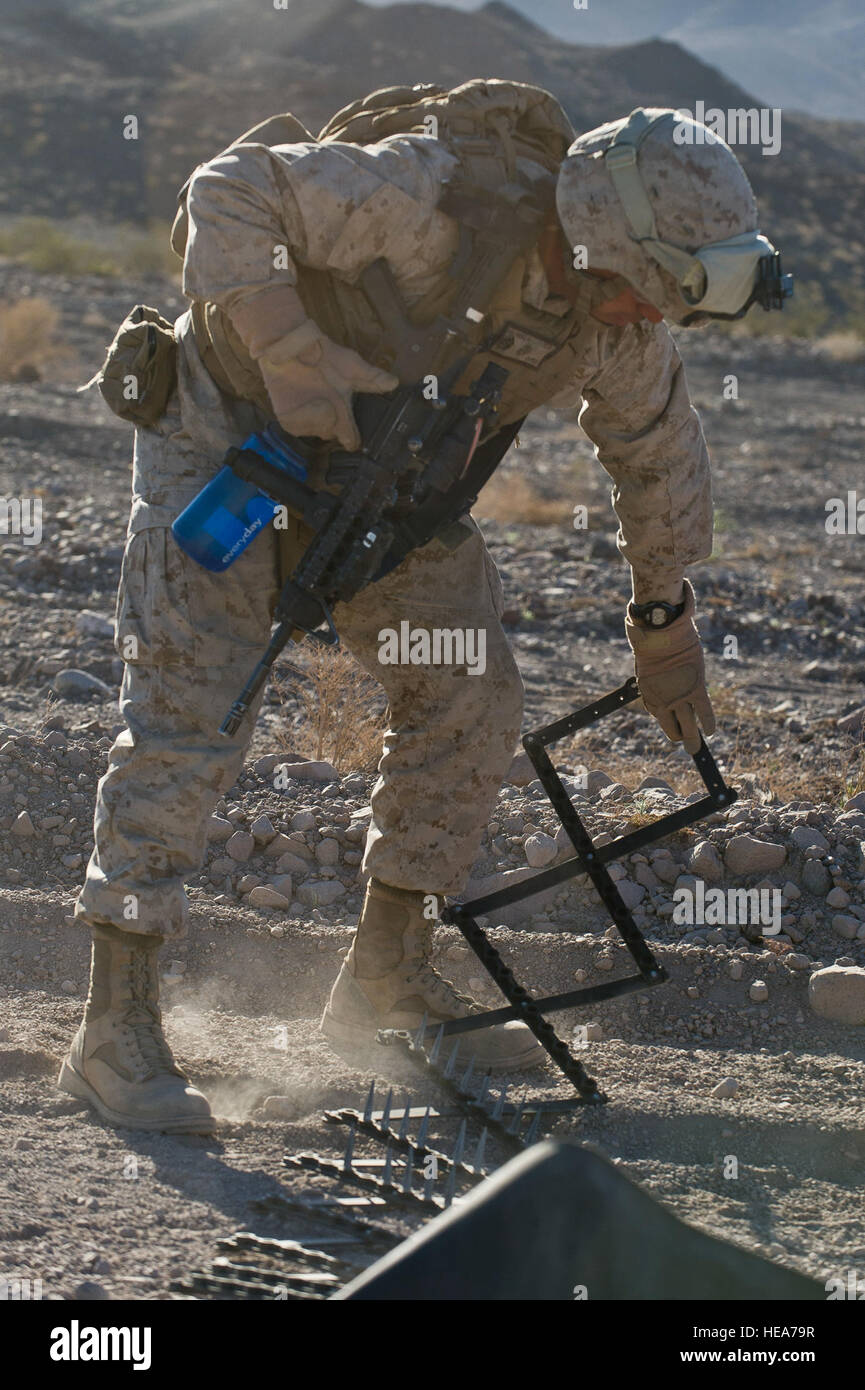 A U.S. Marine assigned to 1st Marine Logistics Group, Marine Corps Base ...
