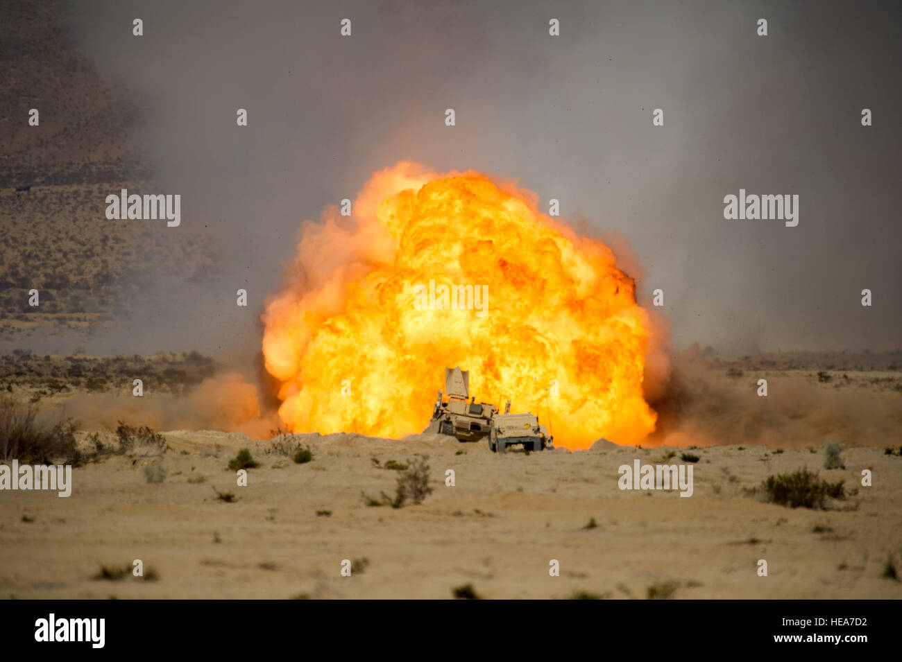 U.S. Marines with 1st Combat Engineers Battalion (1st CEB), utilize an ...