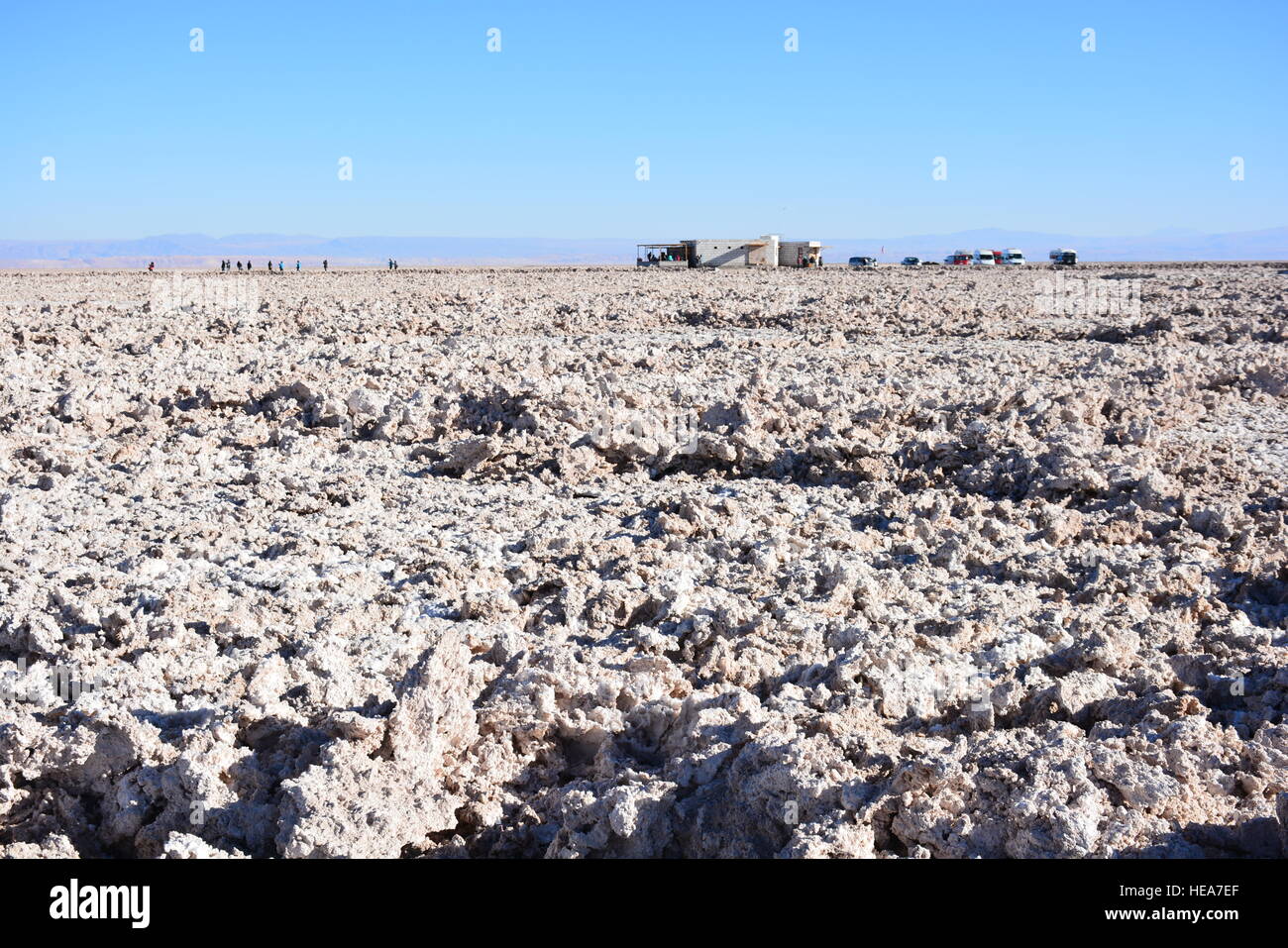 Salt flats lake in Atacama desert Chile Stock Photo - Alamy