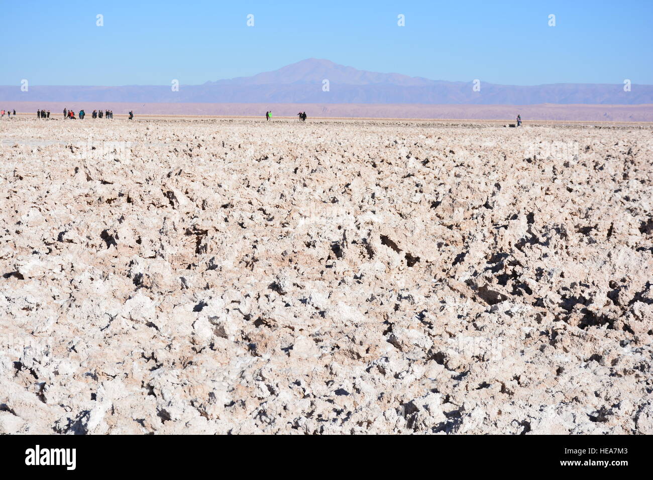 Salt flats lake in Atacama desert Chile Stock Photo - Alamy