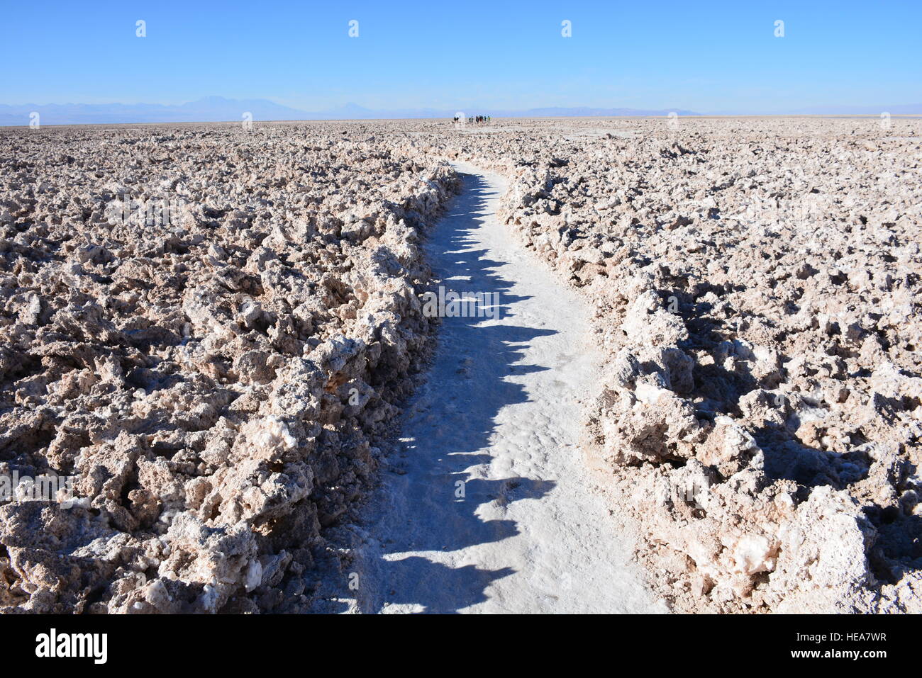 Salt flats lake in Atacama desert Chile Stock Photo - Alamy