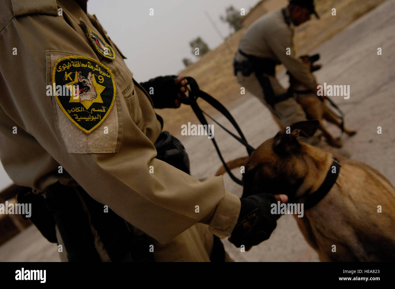Iraqi dog handlers play with their dogs during a training exercise with ...
