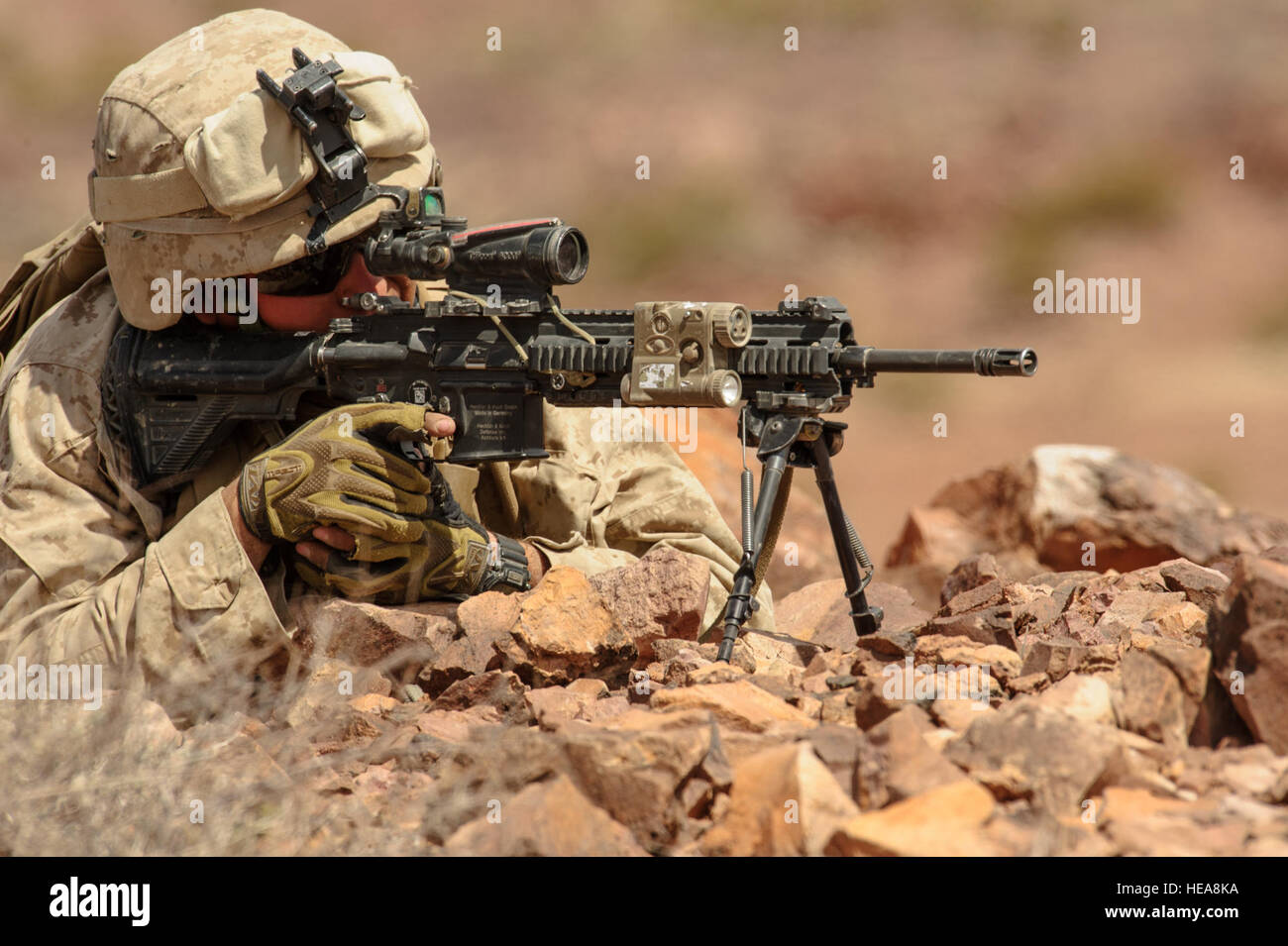 Us marine corps light armored reconnaissance hi-res stock photography ...