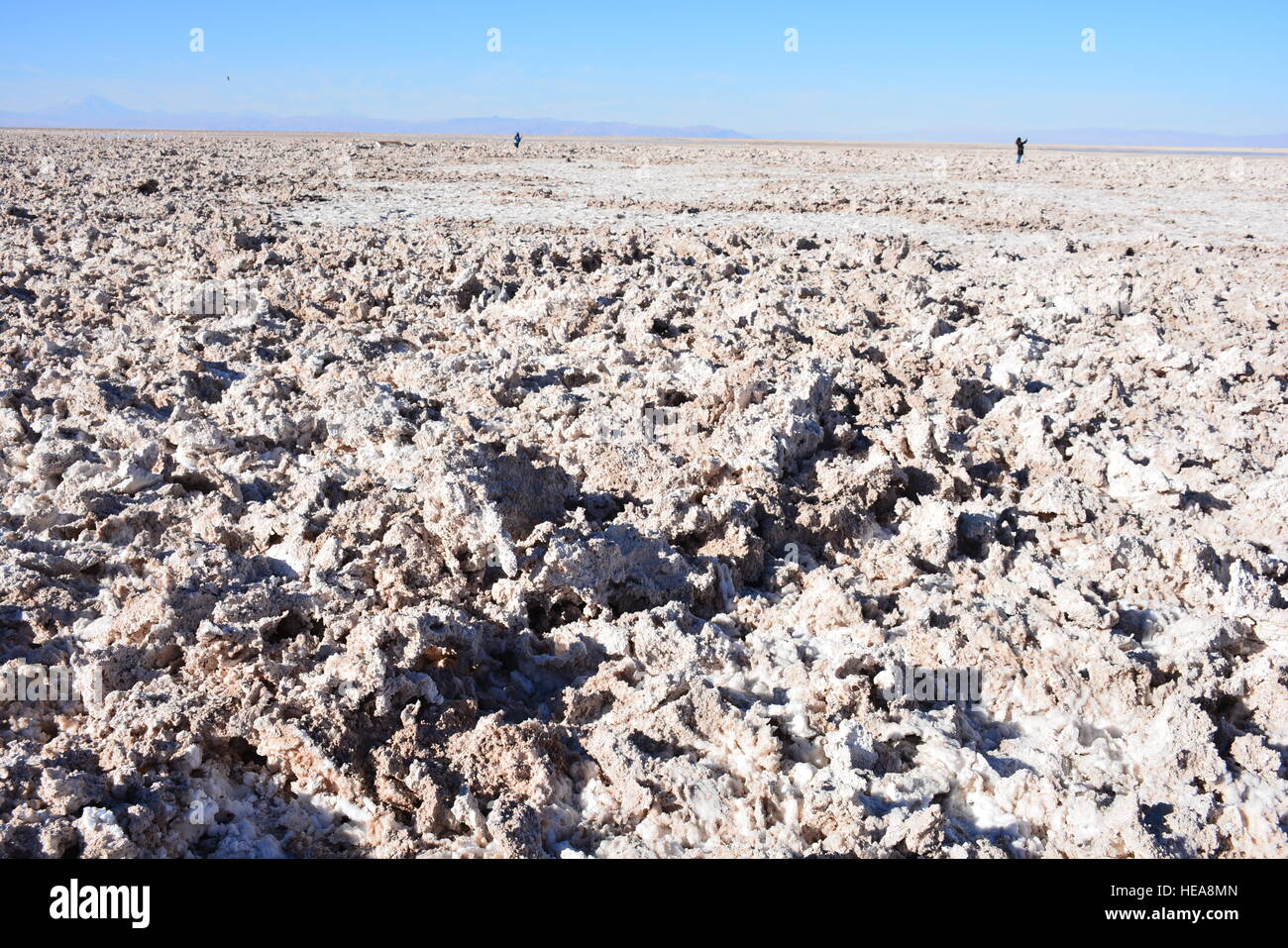 Salt flats lake in Atacama desert Chile Stock Photo - Alamy