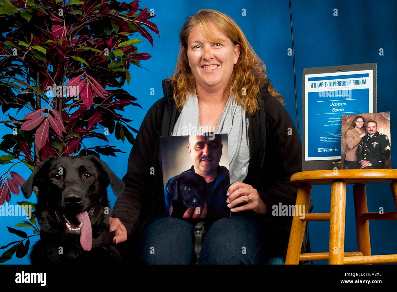 Air attack on afghanistan 2001 hi-res stock photography and images - Alamy