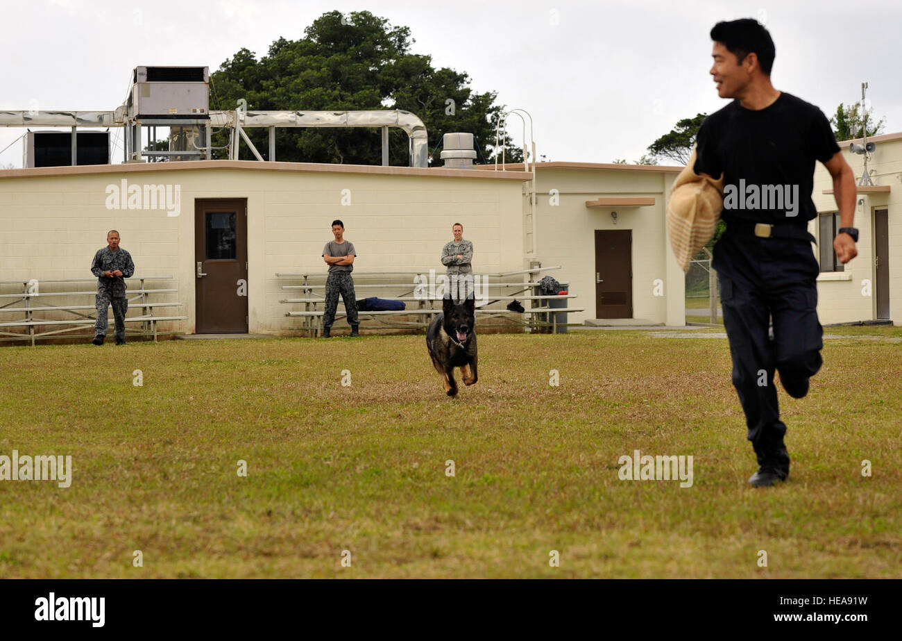 Joint mwd training hi-res stock photography and images - Alamy