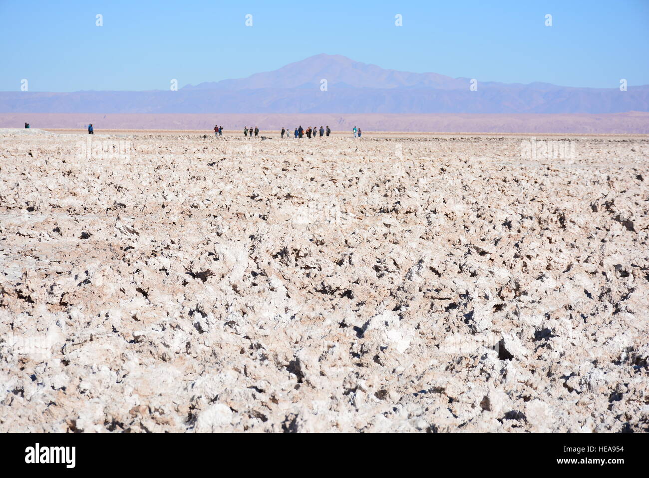 Salt flats lake in Atacama desert Chile Stock Photo - Alamy