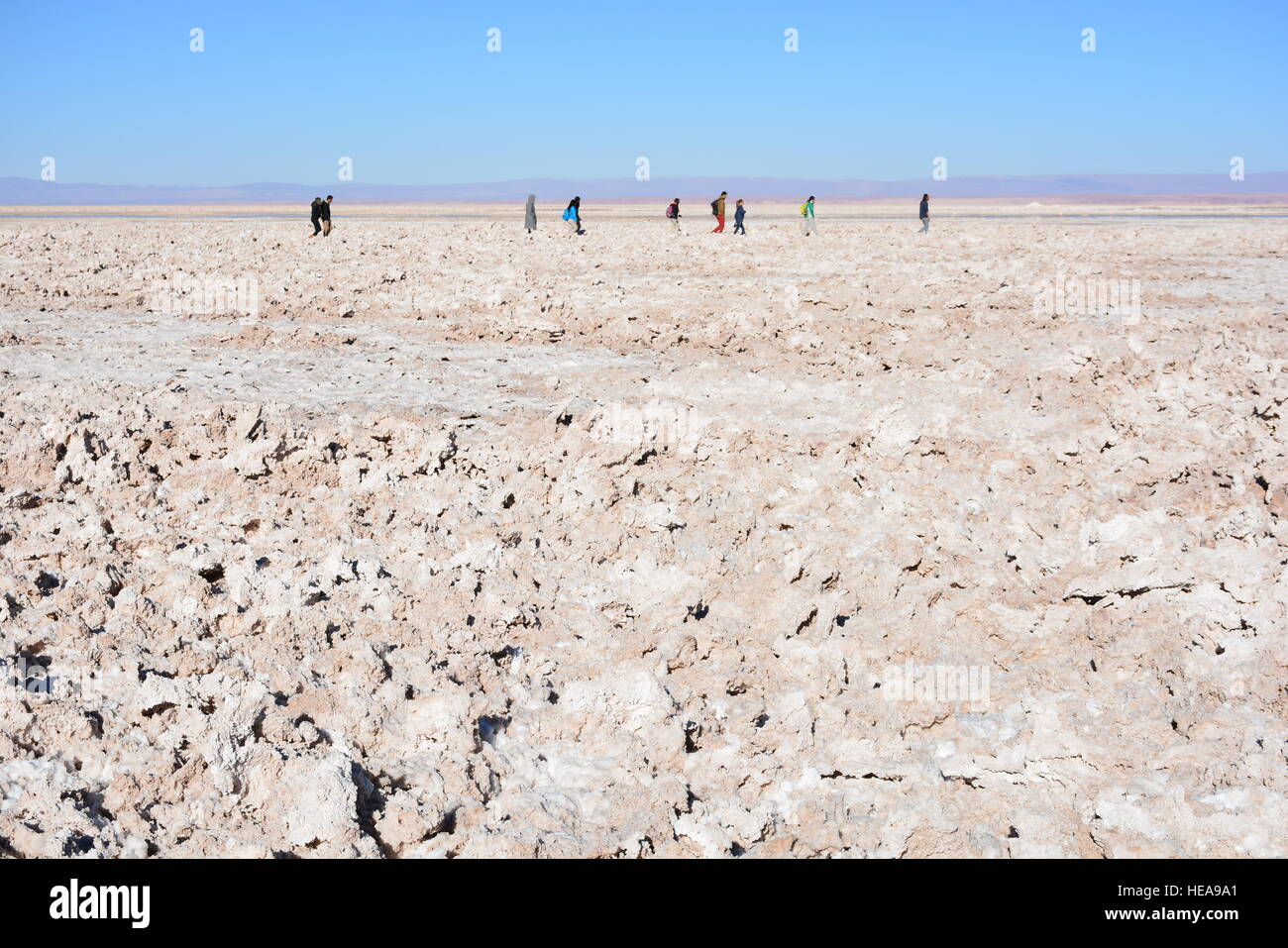 Salt flats lake in Atacama desert Chile Stock Photo - Alamy