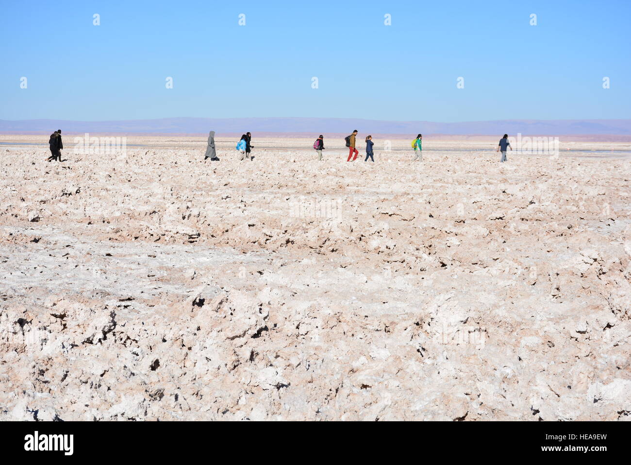 Salt flats lake in Atacama desert Chile Stock Photo - Alamy