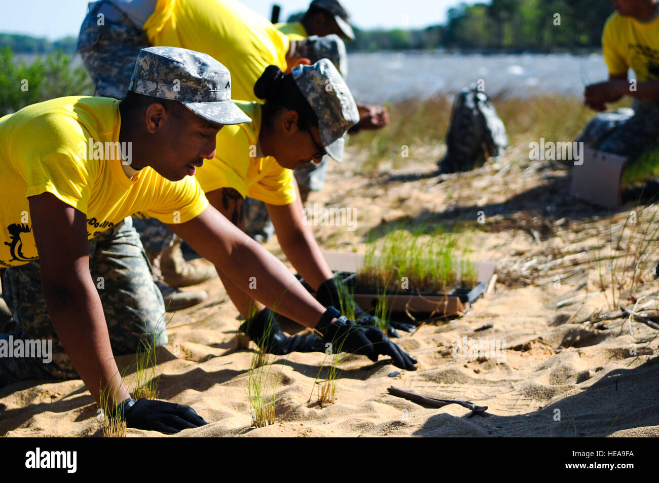 U.S. Army personnel conduct shoreline planting at Fort Eustis, Virginia ...