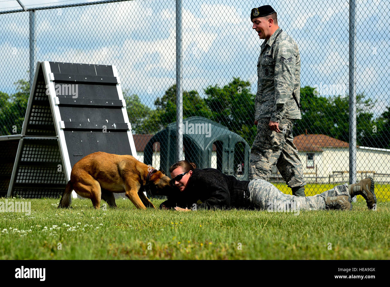 U.S. Air Force Senior Airman Brandon Smith, 633rd Security Forces ...