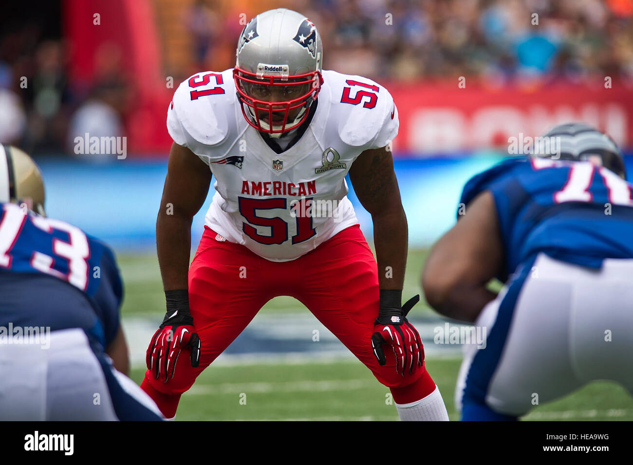 New England Patriots linebacker, Jerod Mayo, looks over the offense ...