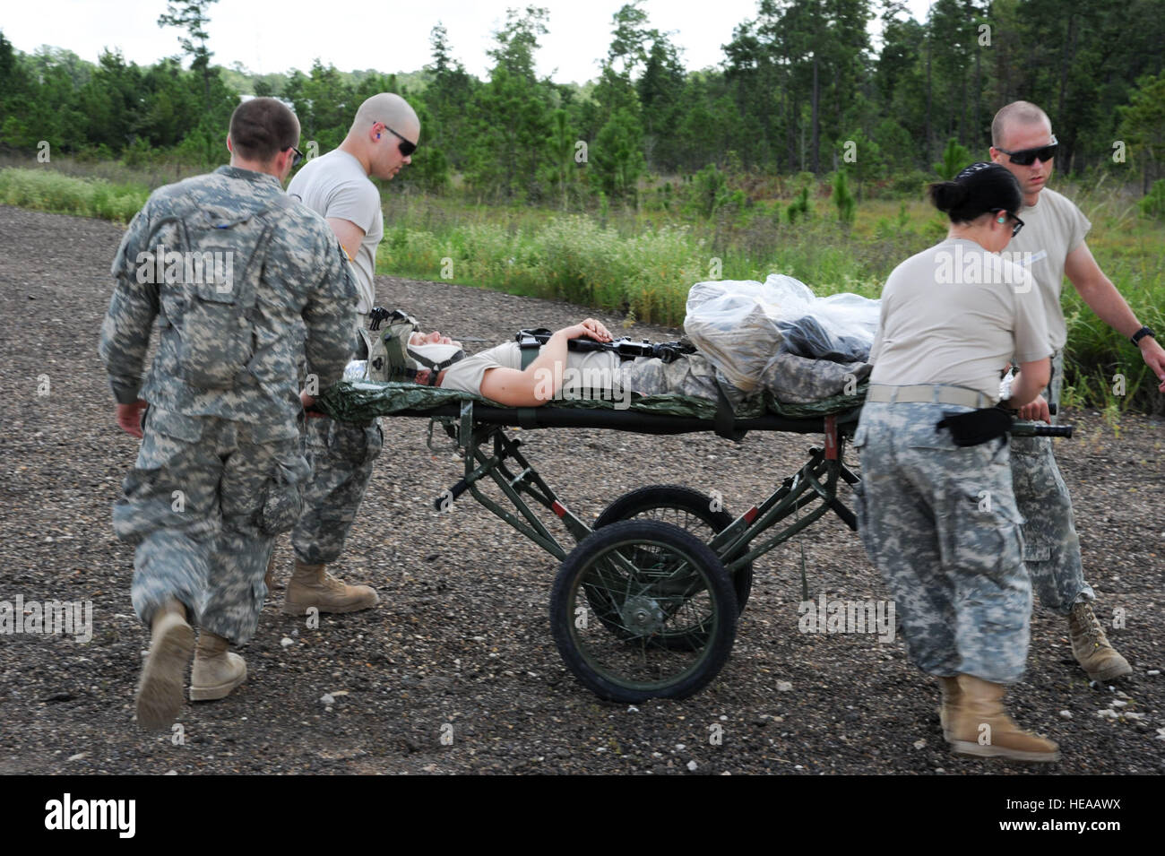 Medical staff turn the litter of a patient air evacuated on a U.S. Army ...
