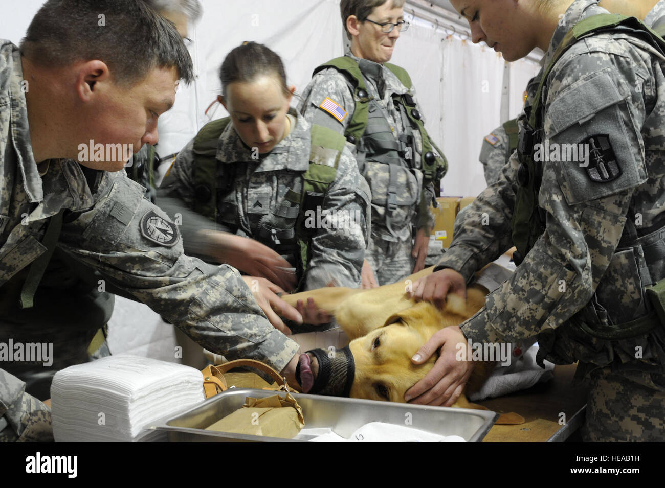 U.S. Army Sgt. Leslie Langford, left, canine handler, 550th Military ...