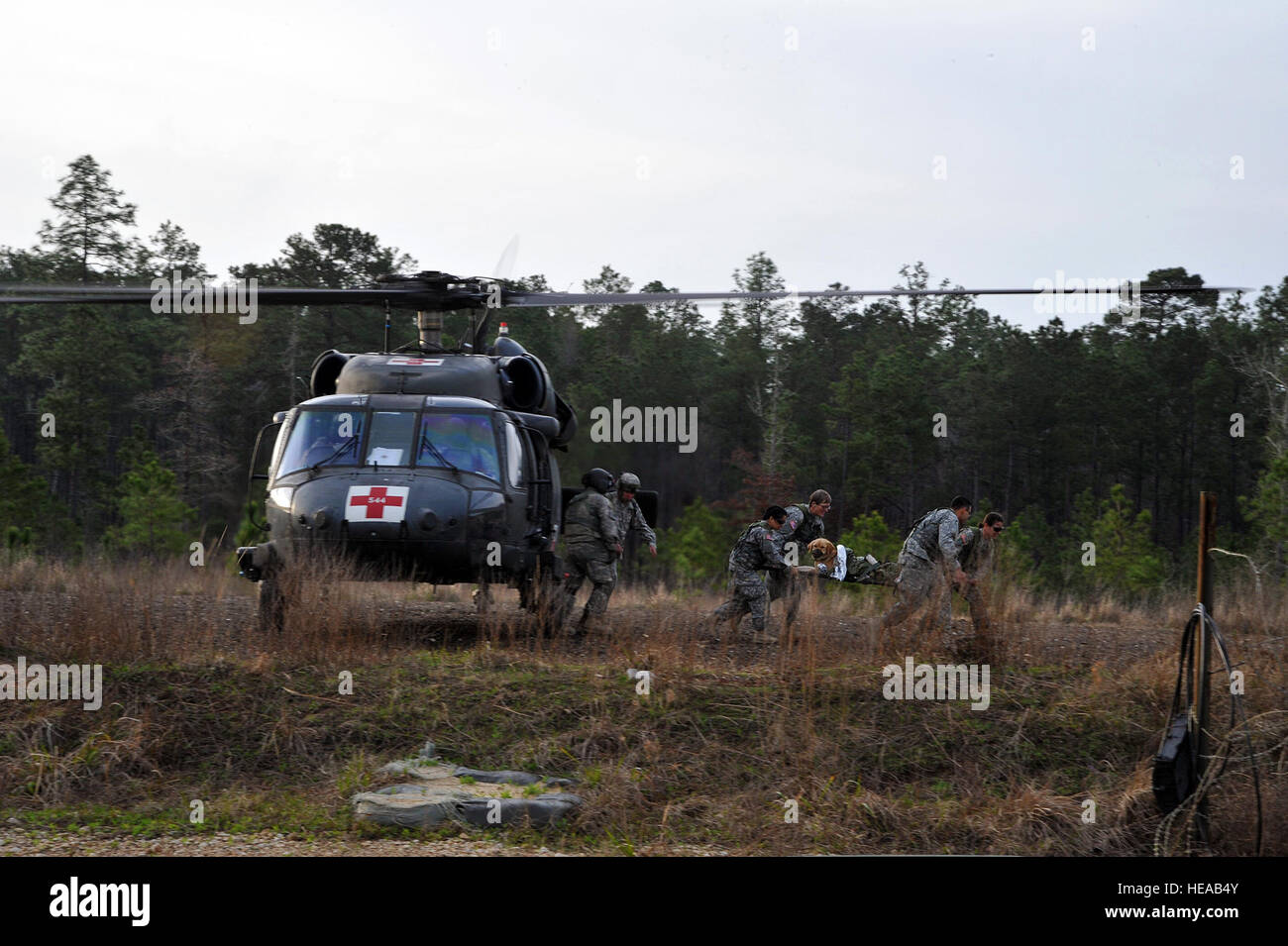 U.S. Army soldiers with the 328th Combat Support Hospital transport Ted ...
