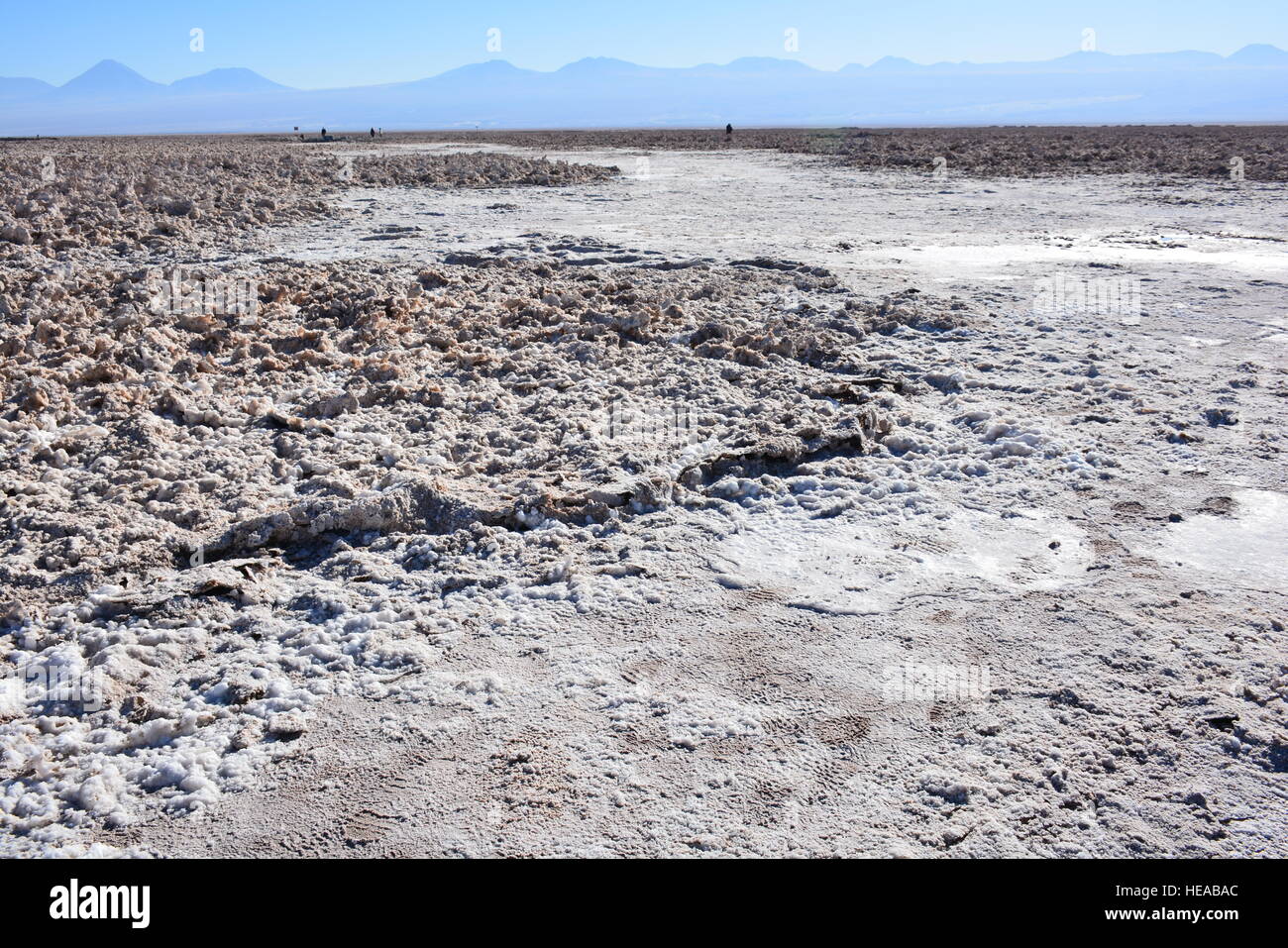 Salt flats lake in Atacama desert Chile Stock Photo - Alamy