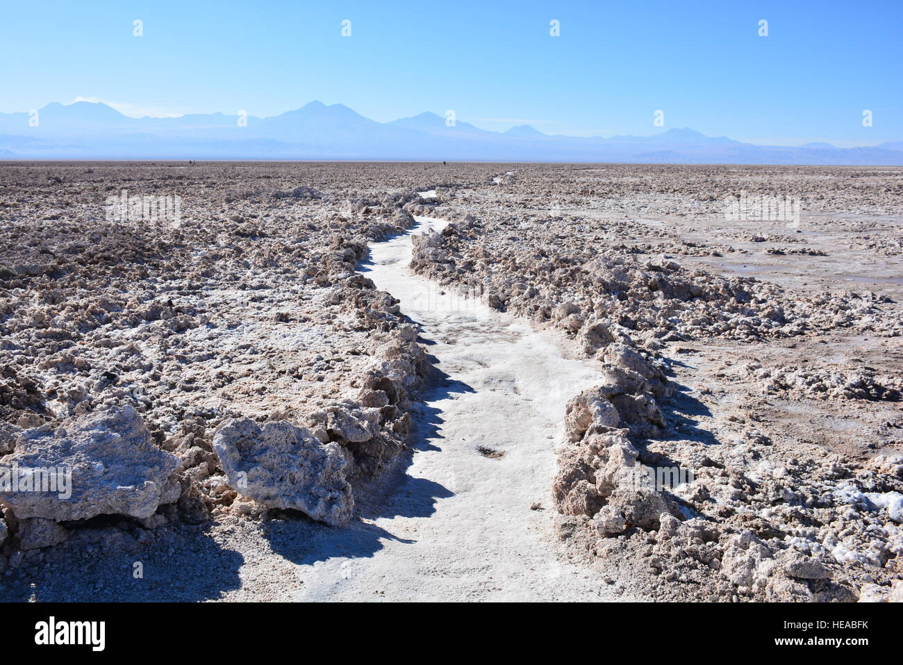 Salt flats lake in Atacama desert Chile Stock Photo - Alamy