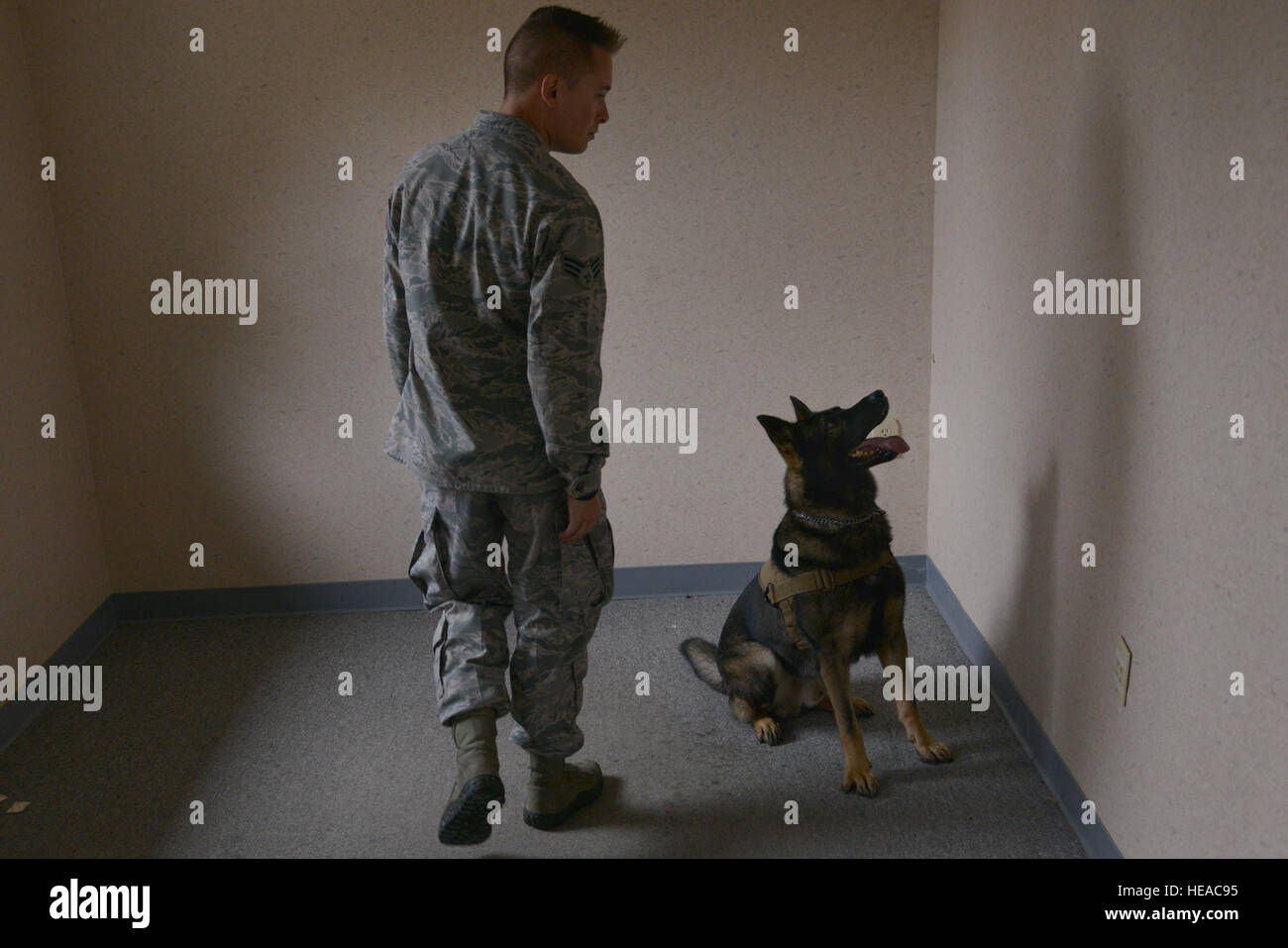 U.S. Air Force Senior Airman Benjamin Howard, 633rd Security Forces ...