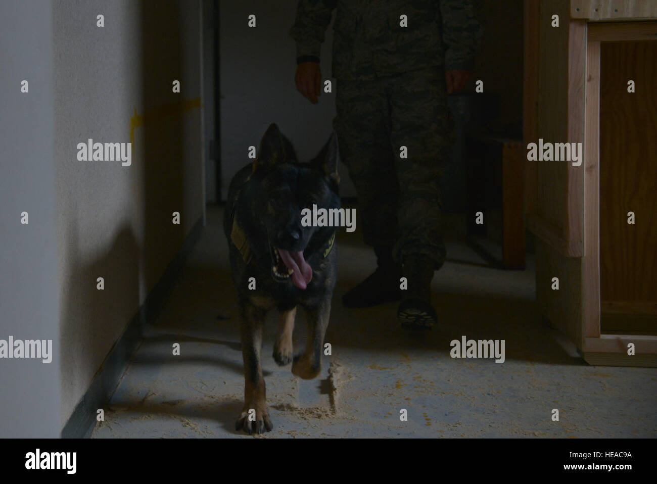 U.S. Air Force Senior Airman Benjamin Howard, 633rd Security Forces ...