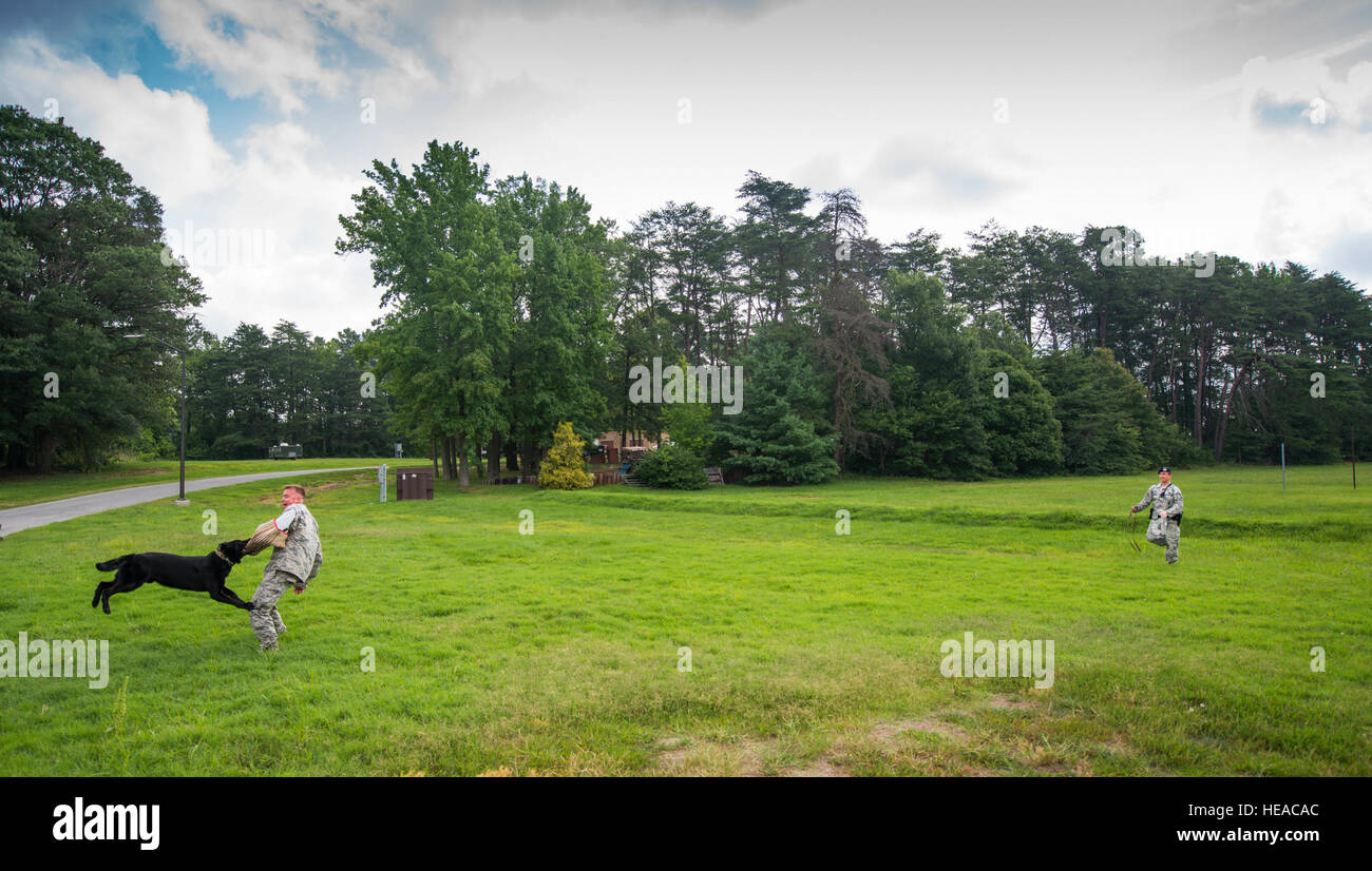 Tech. Sgt. Scott Heise, 11th Security Support Squadron military working ...