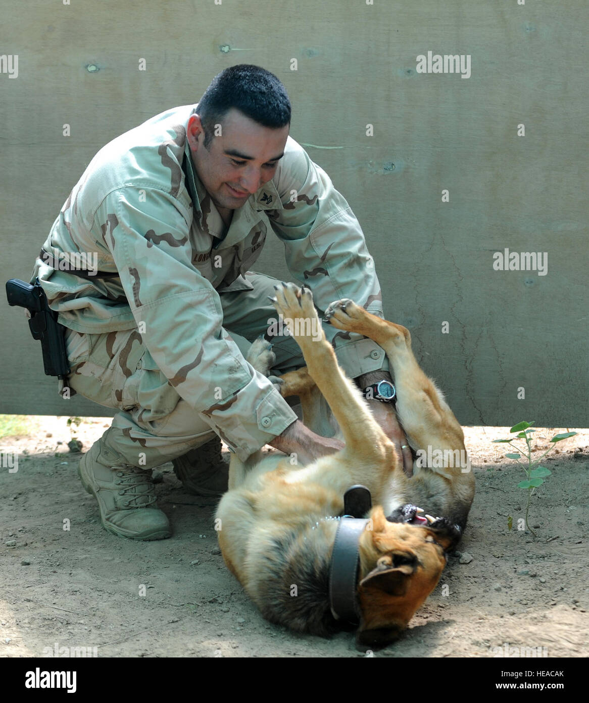 Navy Military Working Dog teams complete training at Camp Lemonier ...