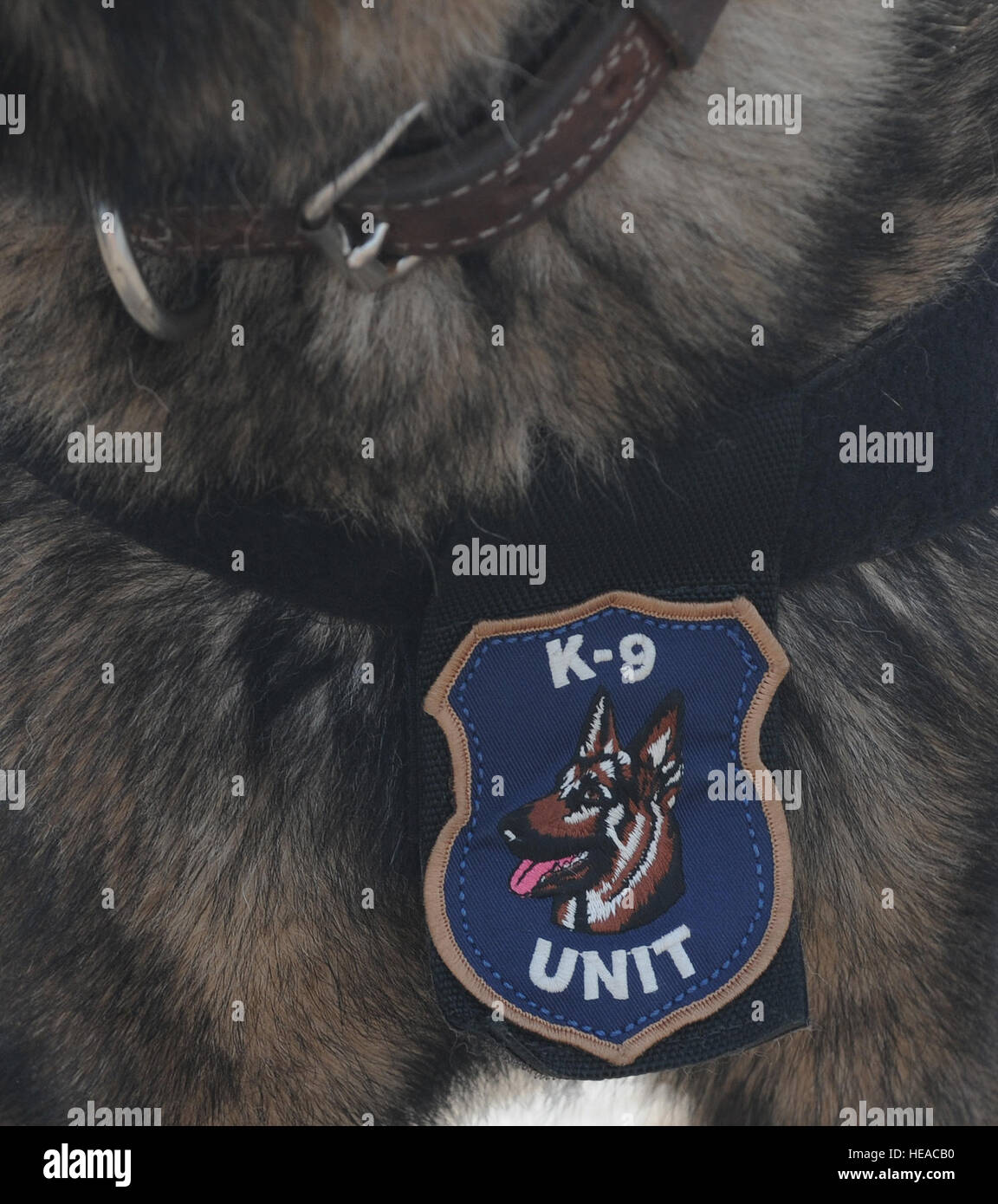 K9 badge hi-res stock photography and images - Alamy