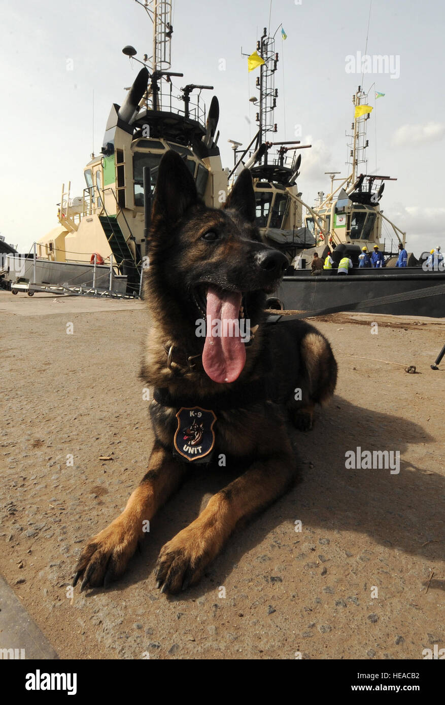 090420-F-7426P-050-Djibouti-U.S. Navy Military Working Dog (MWD) "Don ...