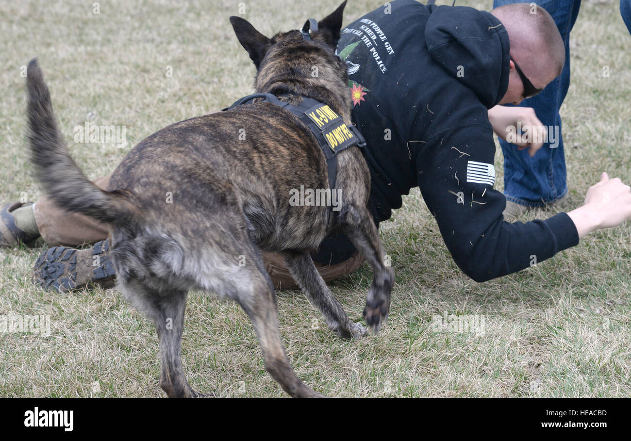 375th sfs hi-res stock photography and images - Alamy