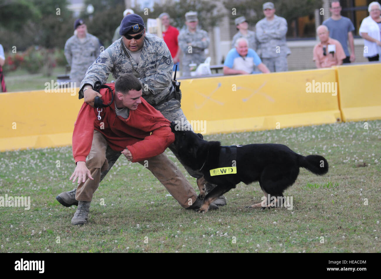 U.S. Air Force Staff Sgt.?s Stephen Nores and Tony Neal, of the 81st ...