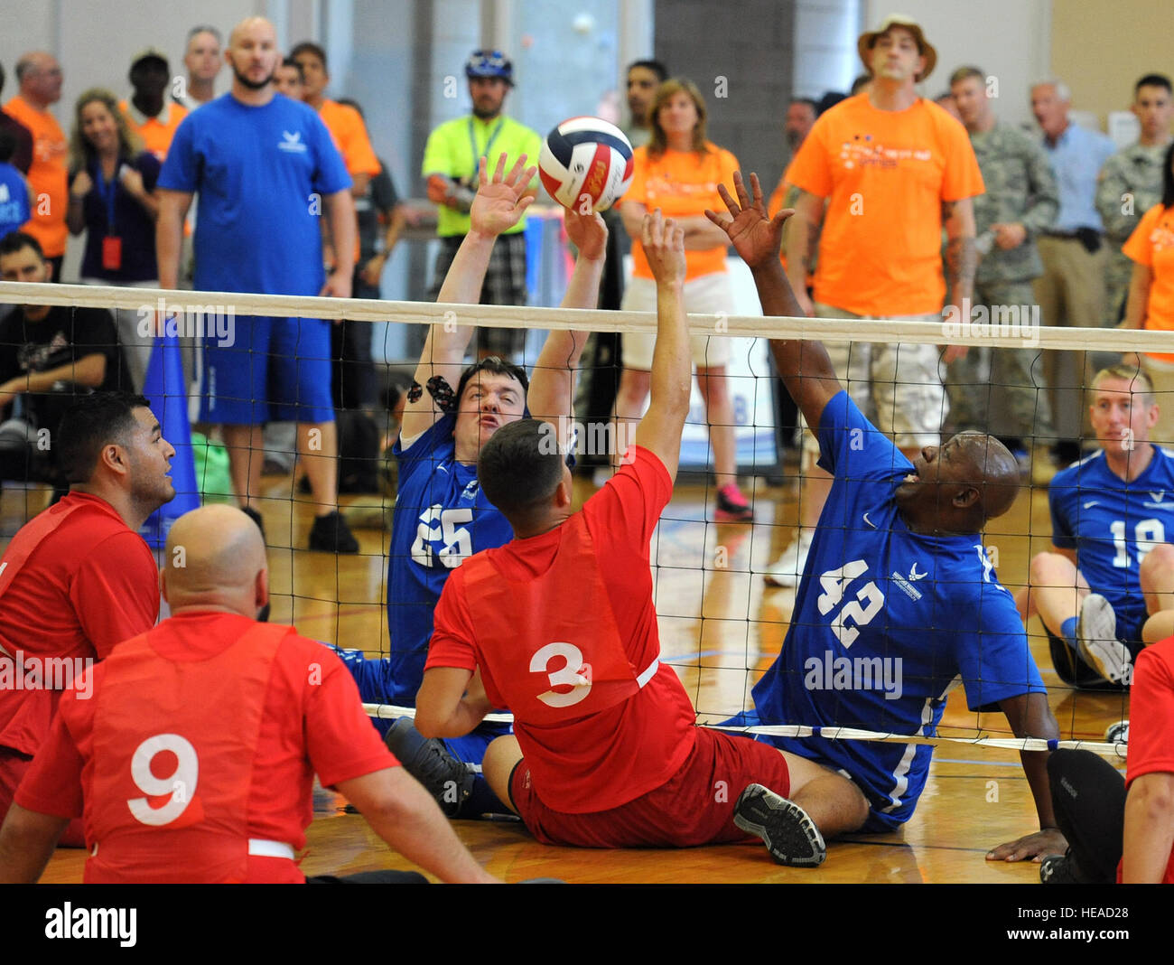 U.S. Air Force personnel participate in the sitting volleyball ...