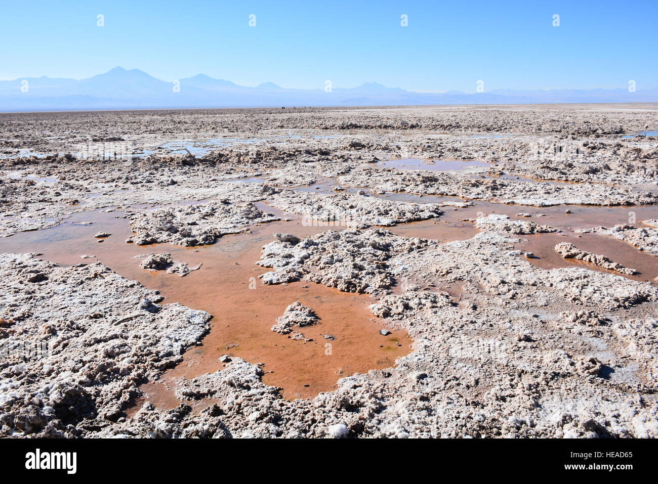 Salt flats lake in Atacama desert Chile Stock Photo - Alamy