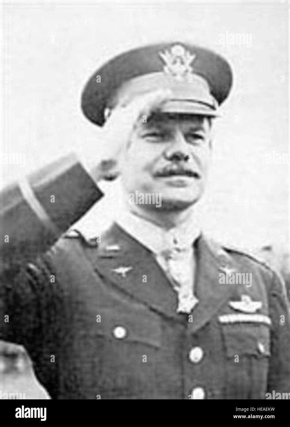 Col. Leon W. Johnson, 44th Bomb Group Commander. (U.S. Air Force photo ...