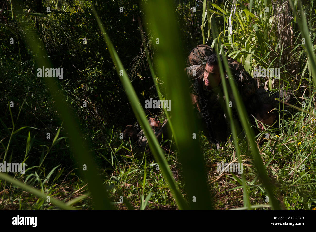 Members jungle operations training hi-res stock photography and images ...