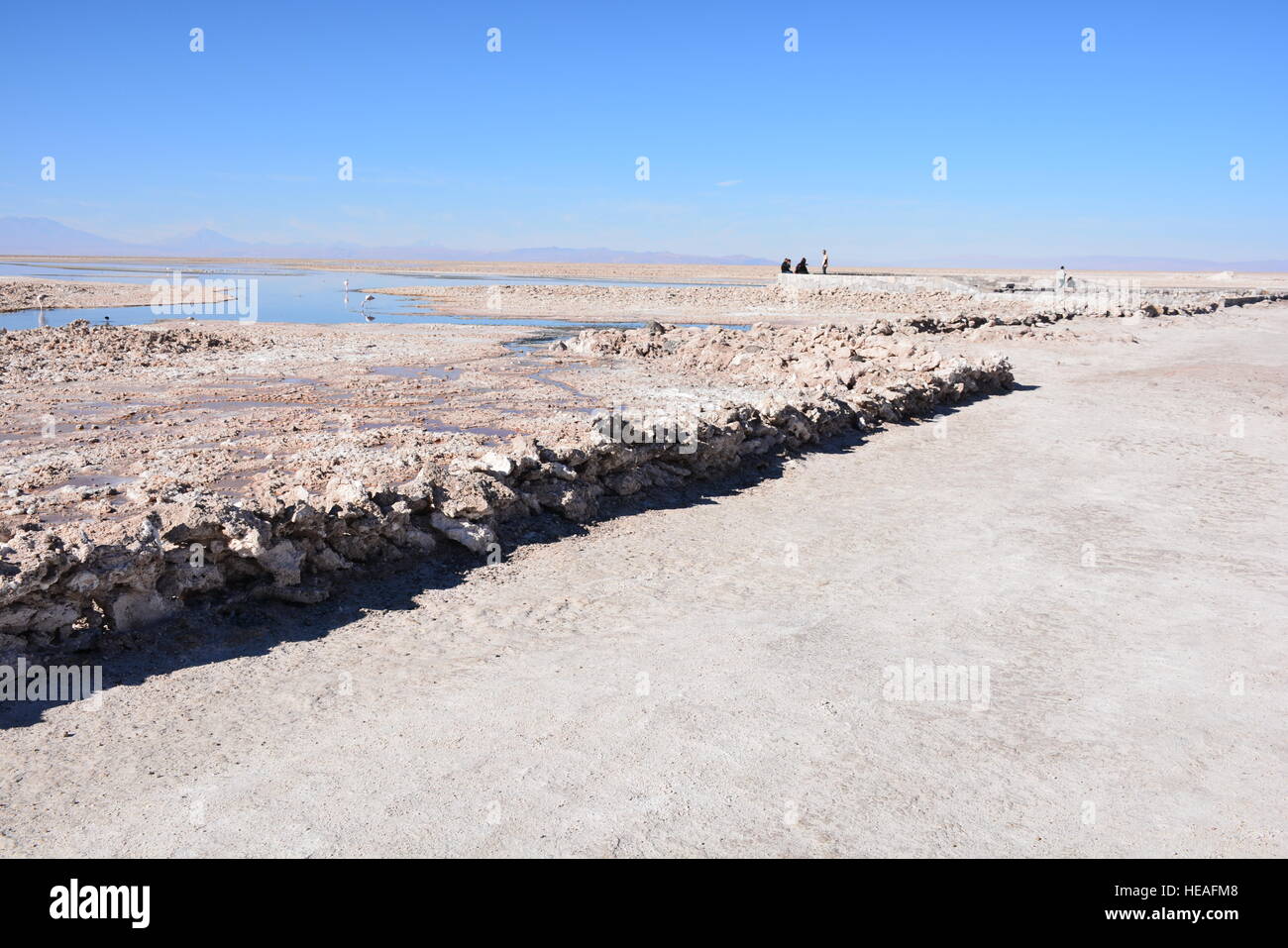 Salt flats lake in Atacama desert Chile Stock Photo - Alamy