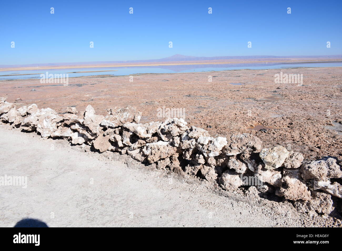 Salt flats lake in Atacama desert Chile Stock Photo - Alamy