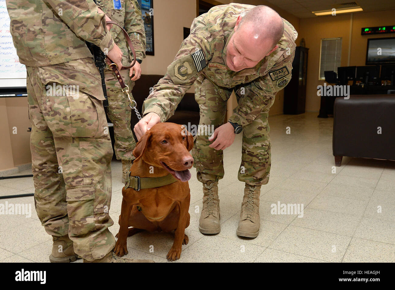 U.S. Air Force Brig. Gen. Patrick Malackowski, 455th Air Expeditionary ...