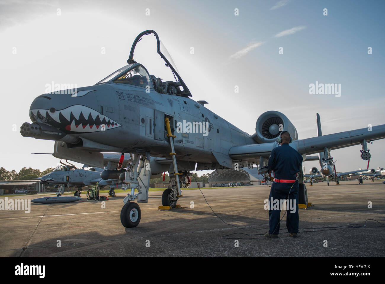 U.S. Air Force Airman 1st Class Jacob Dovel, 23rd Aircraft Maintenance ...