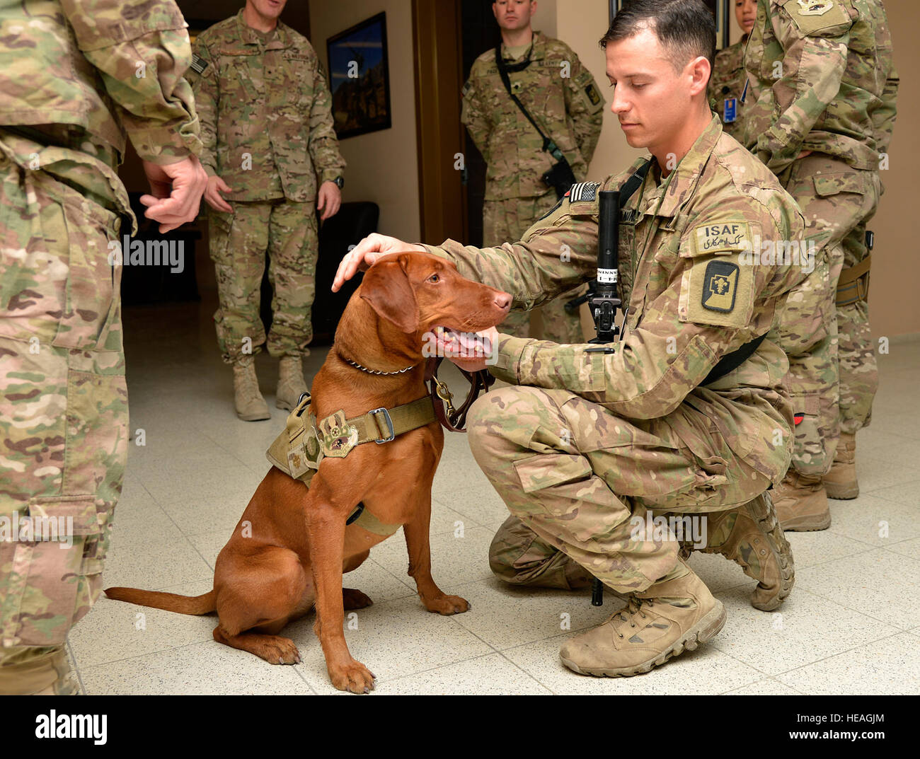98th combat stress control detachment hi-res stock photography and ...