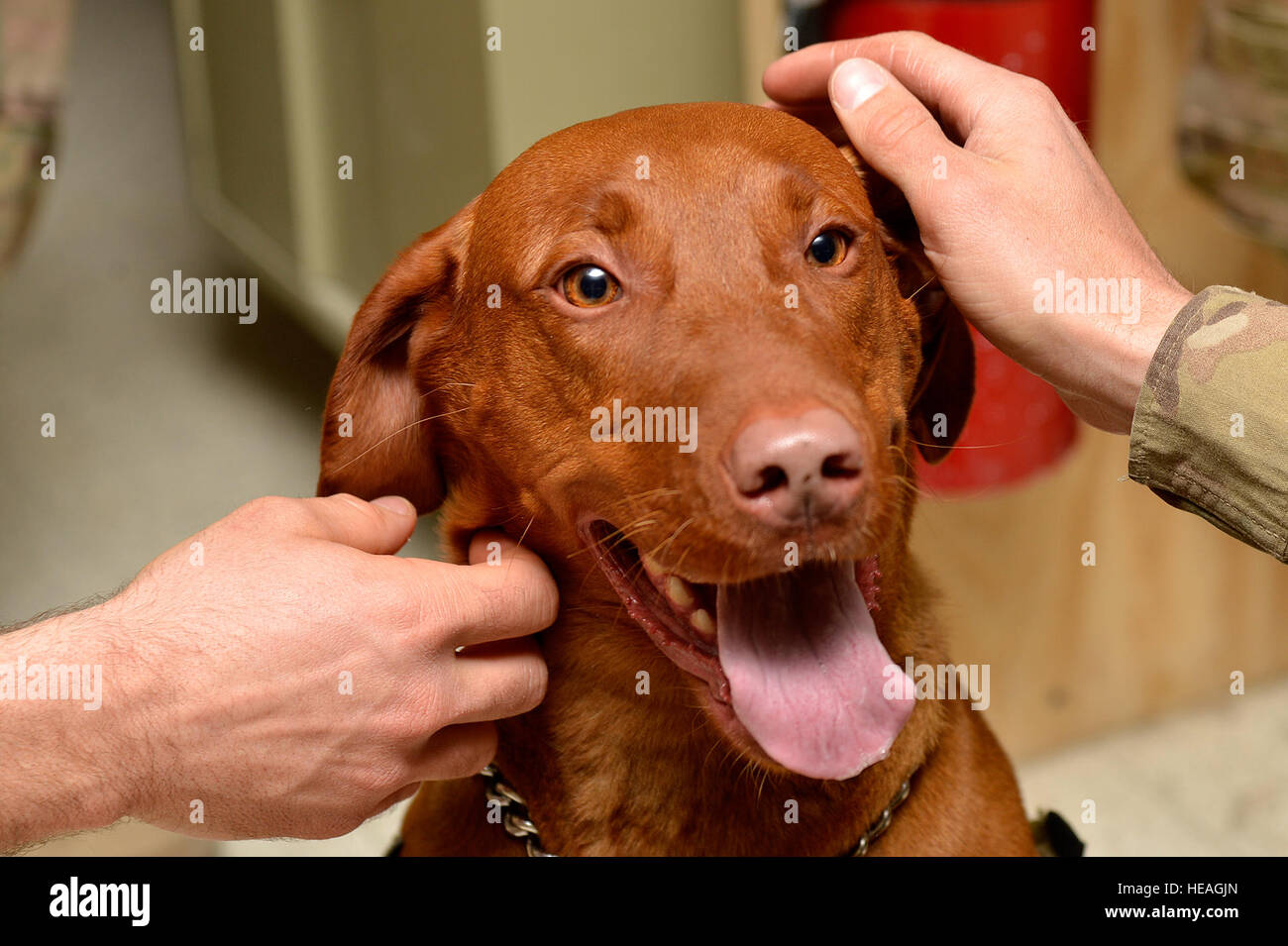 98th combat stress control detachment hi-res stock photography and ...