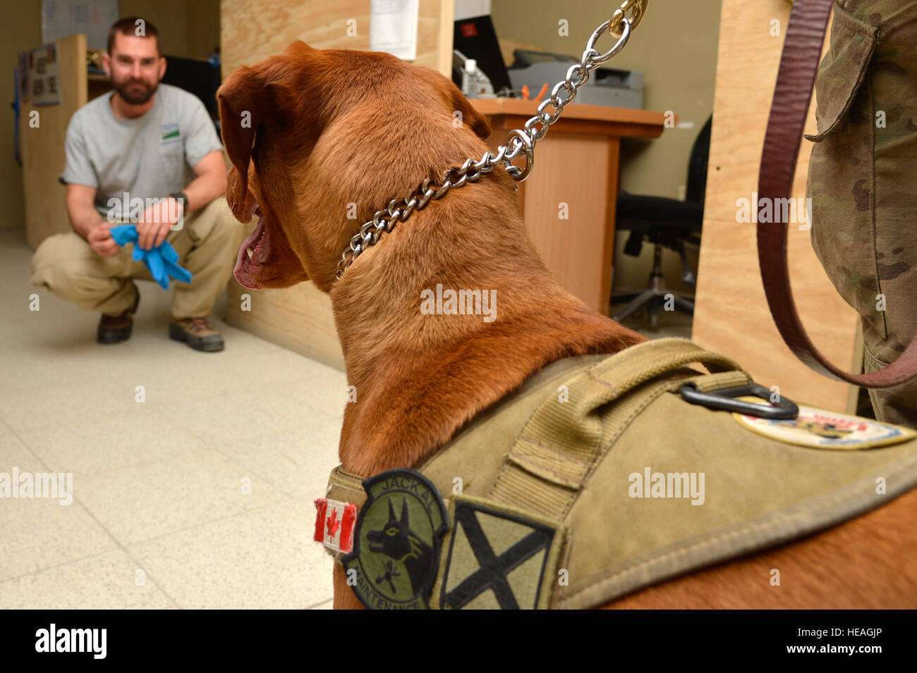 Maj. Eden, 98th Medical Detachment Combat Stress Control combat stress ...