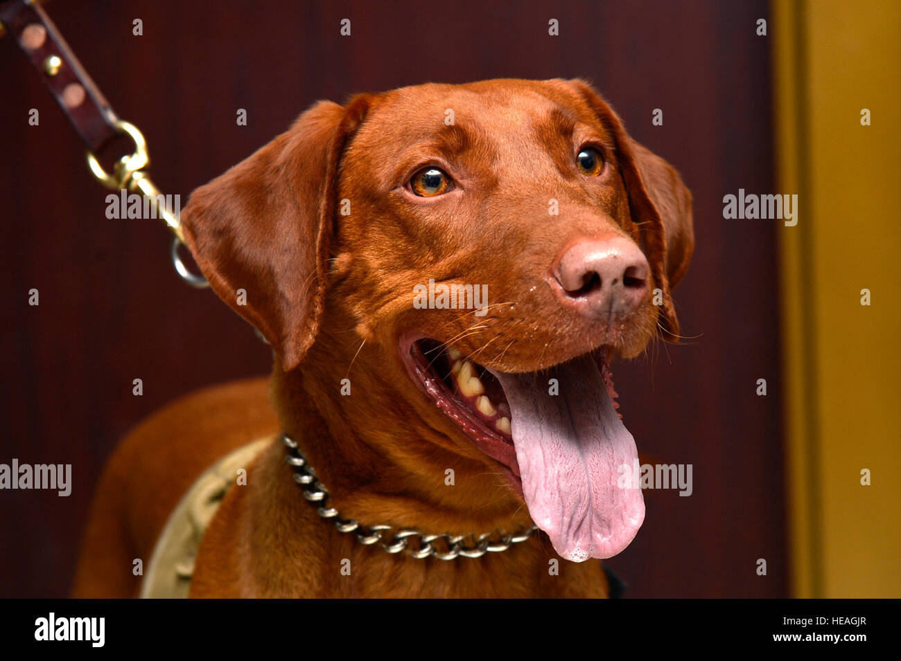 Maj. Eden, 98th Medical Detachment Combat Stress Control combat stress ...