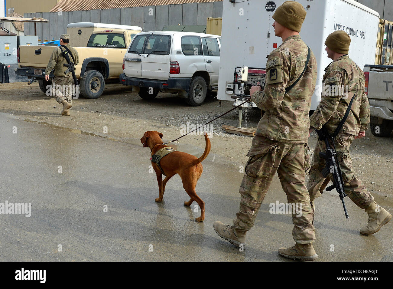U.S. Army Pfc. Alex Fanning, 98th Medical Detachment Combat Stress ...