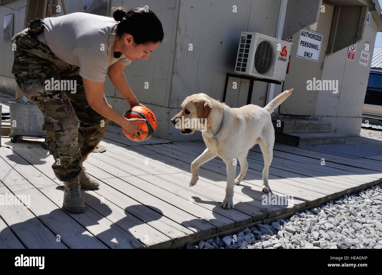 528th combat and operational stress control team hi-res stock ...