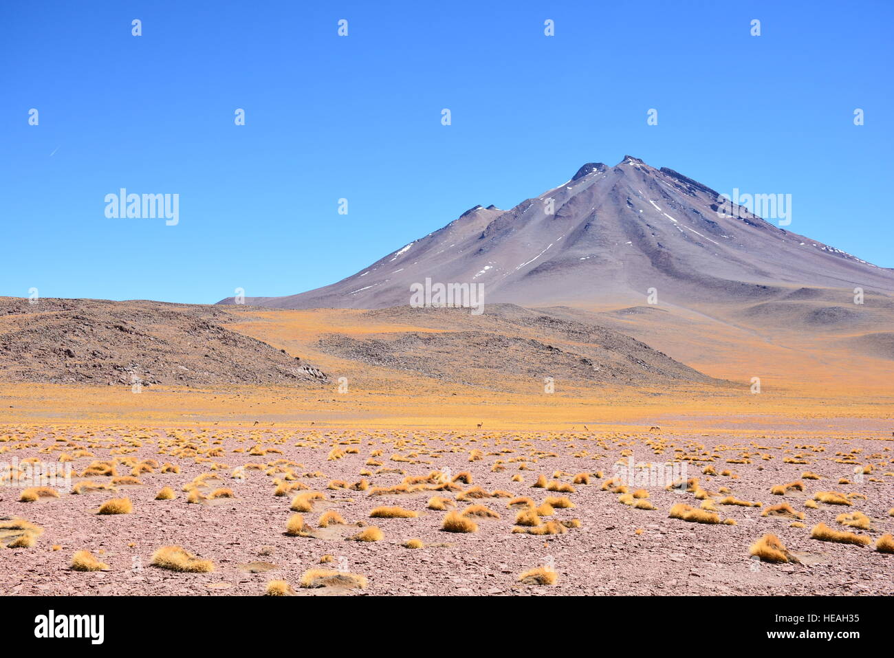 Landscape of mountains and lake in Atacama desert Chile Stock Photo - Alamy