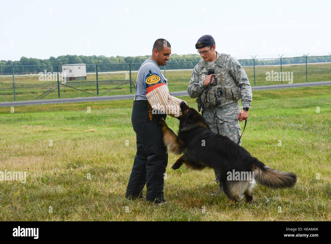 436th military working dog hi-res stock photography and images - Alamy