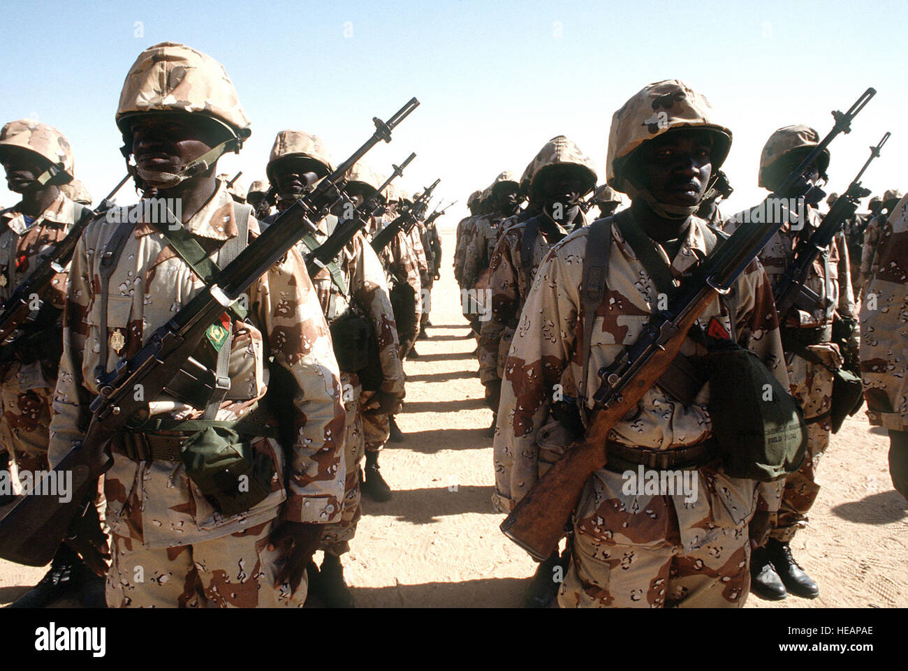 Soldiers in a Niger army unit stand in formation while a dignitary ...