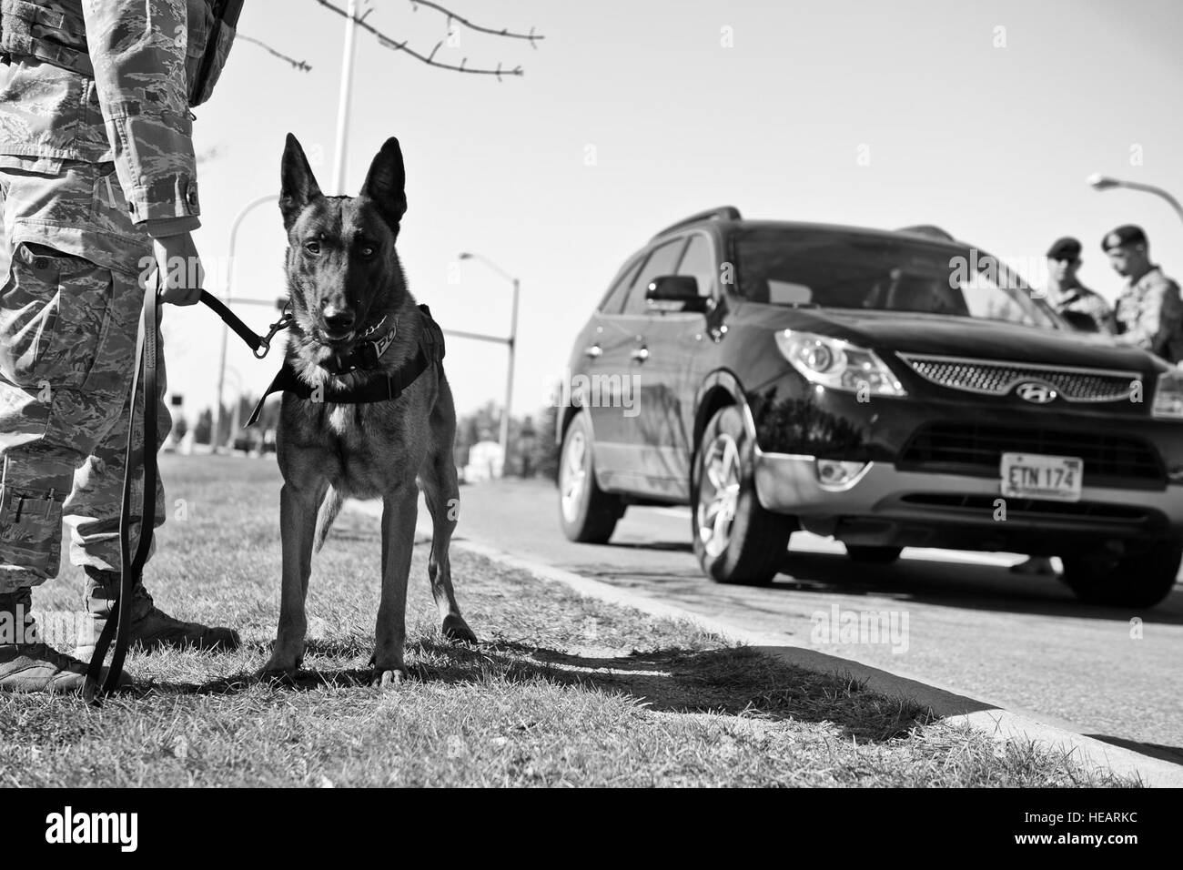 Vehicle security inspection Black and White Stock Photos & Images - Alamy