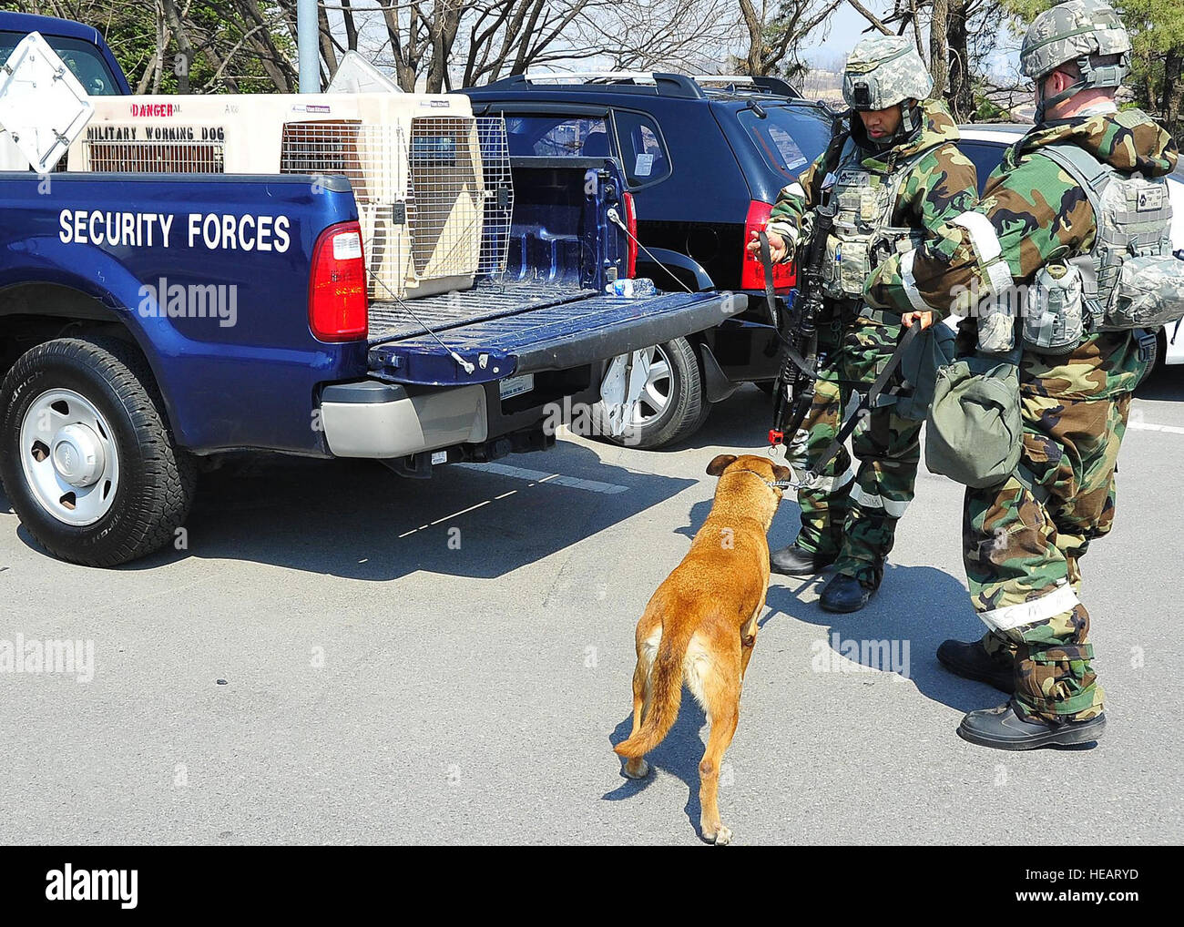 The 51st Security Forces K-9 dog handlers at Osan Air Base, Republic of ...