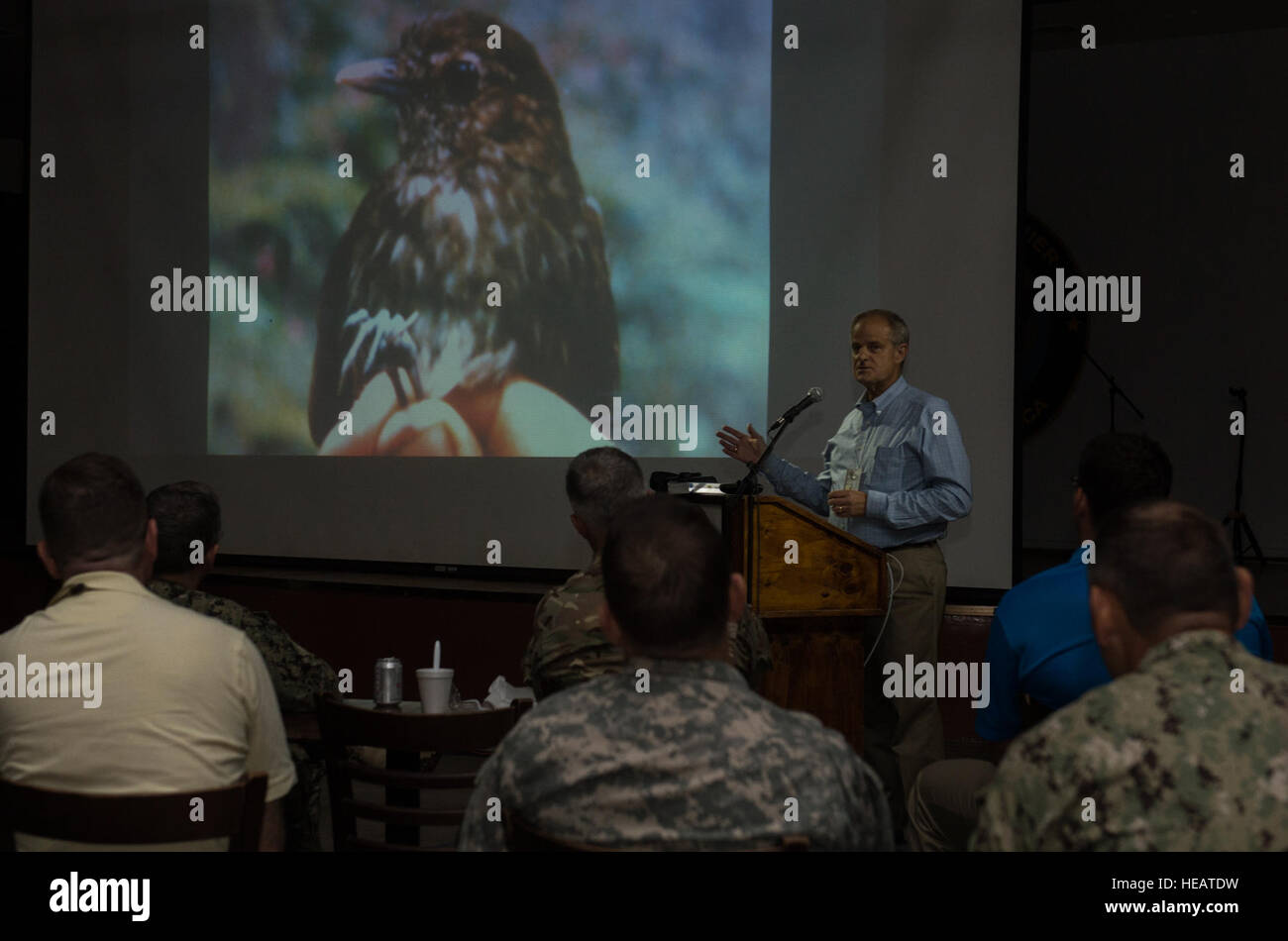 Peter Kaestner, Combined Joint Task Force-Horn of Africa political ...